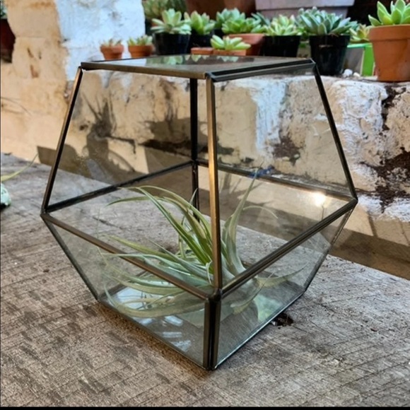 Other | Glass Metal Terrarium Diy Terrarium Book Set Like New | Poshmark